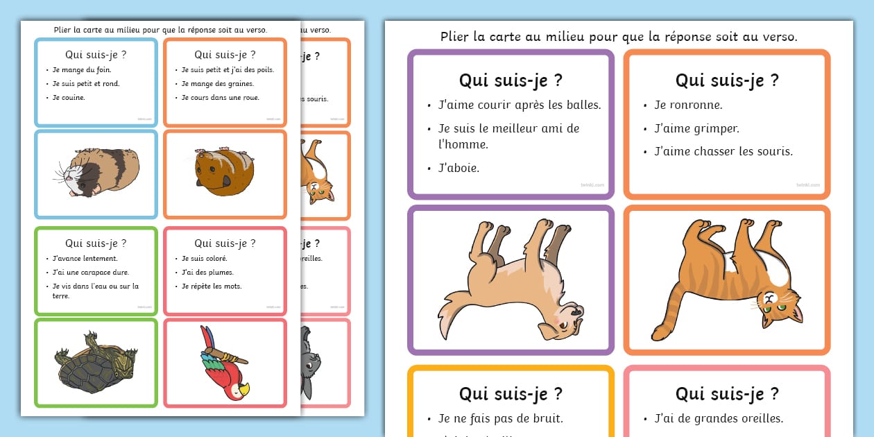 Les animaux domestiques - Qui suis-je ? - Twinkl