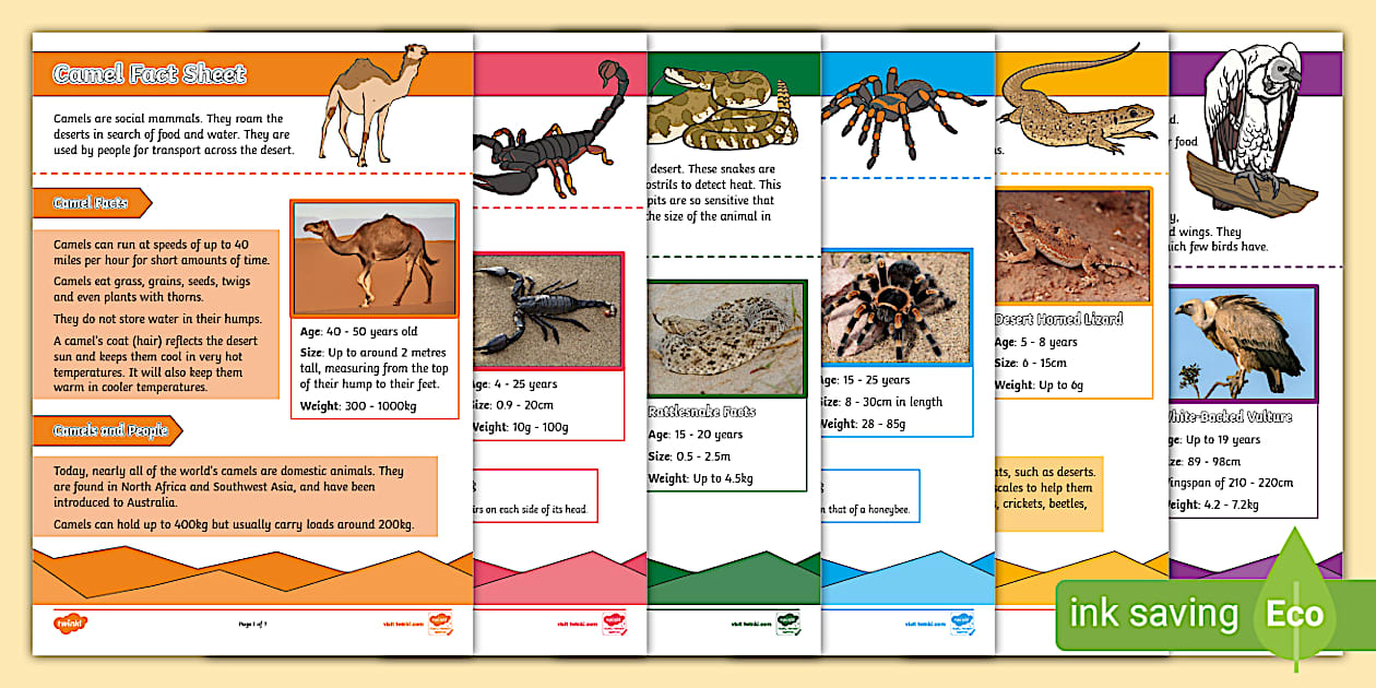 Desert Animals Facts and Pictures Sheets | Twinkl - Twinkl