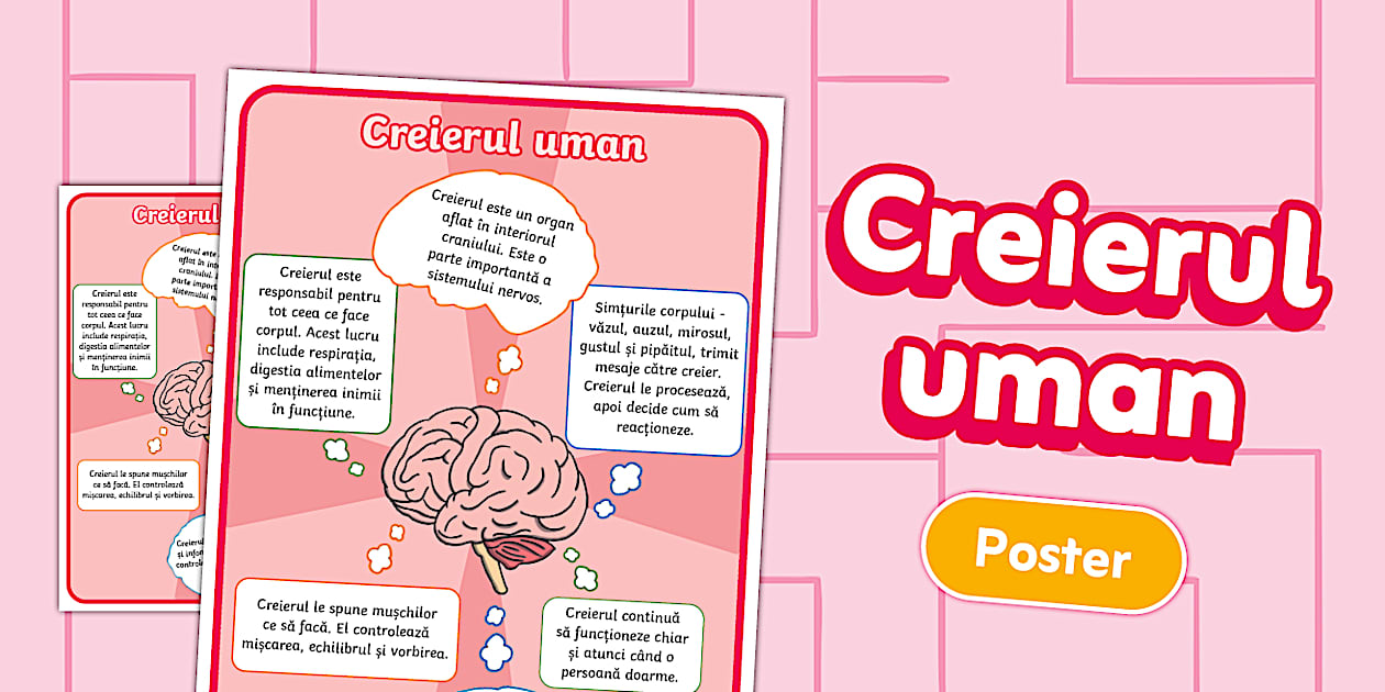 Creierul uman – Planșă