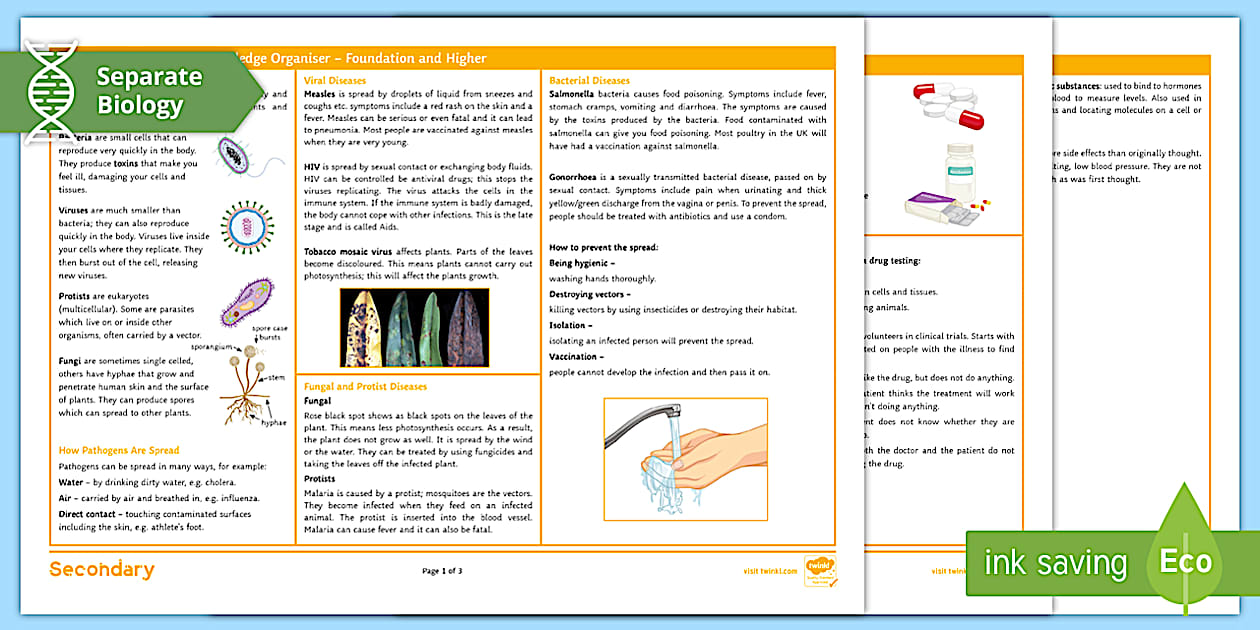 Infection and Response Knowledge Organiser | Biology |Beyond