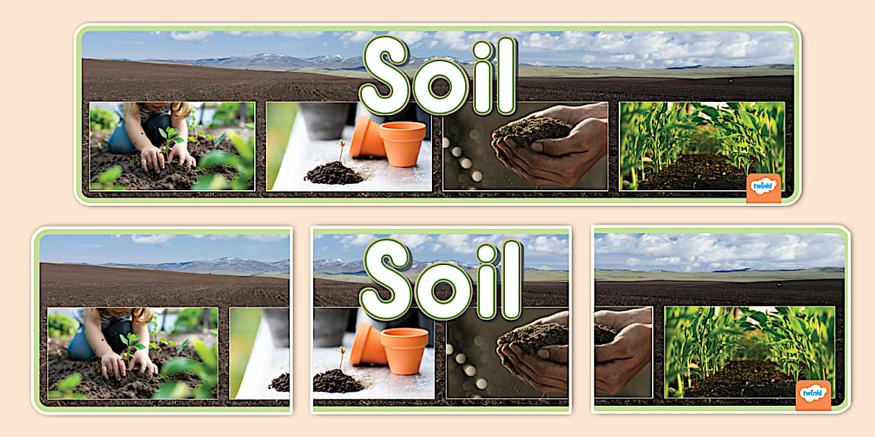 Soil Photo Display Banner (teacher made) - Twinkl