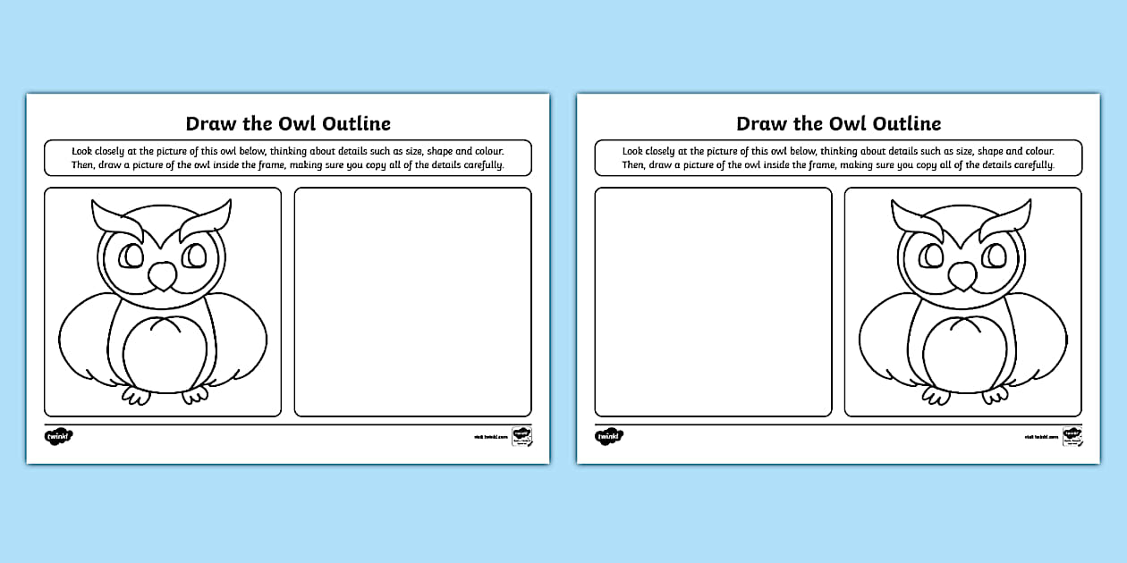 Owl Outline Drawing Activity (Teacher-Made) - Twinkl