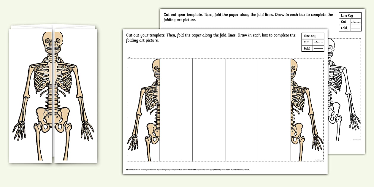 Skeleton Folding Art Template (Teacher-Made) - Twinkl