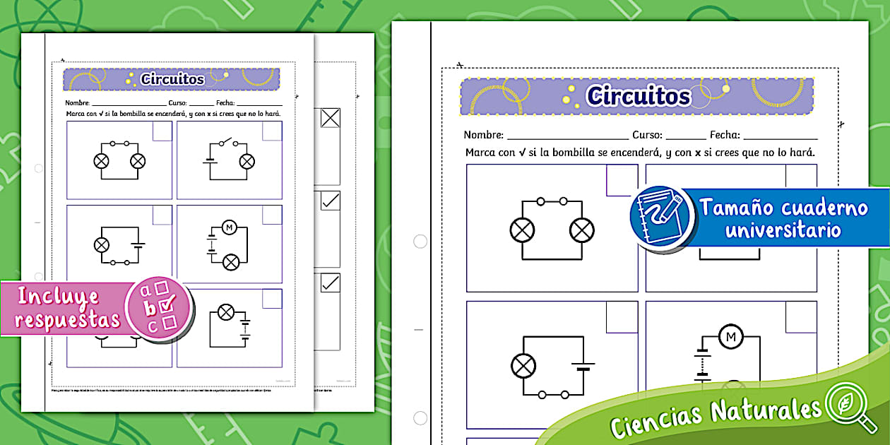 Circuitos eléctricos |Cambios | Ciencias| 5° básico