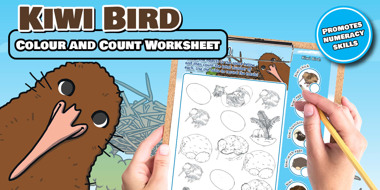 Kiwi Bird Colour and Count Worksheet