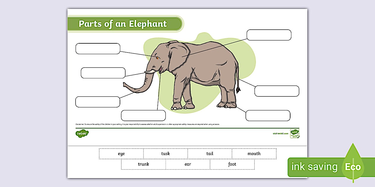 Parts of An Elephant Labelling Activity - Twinkl - KS1