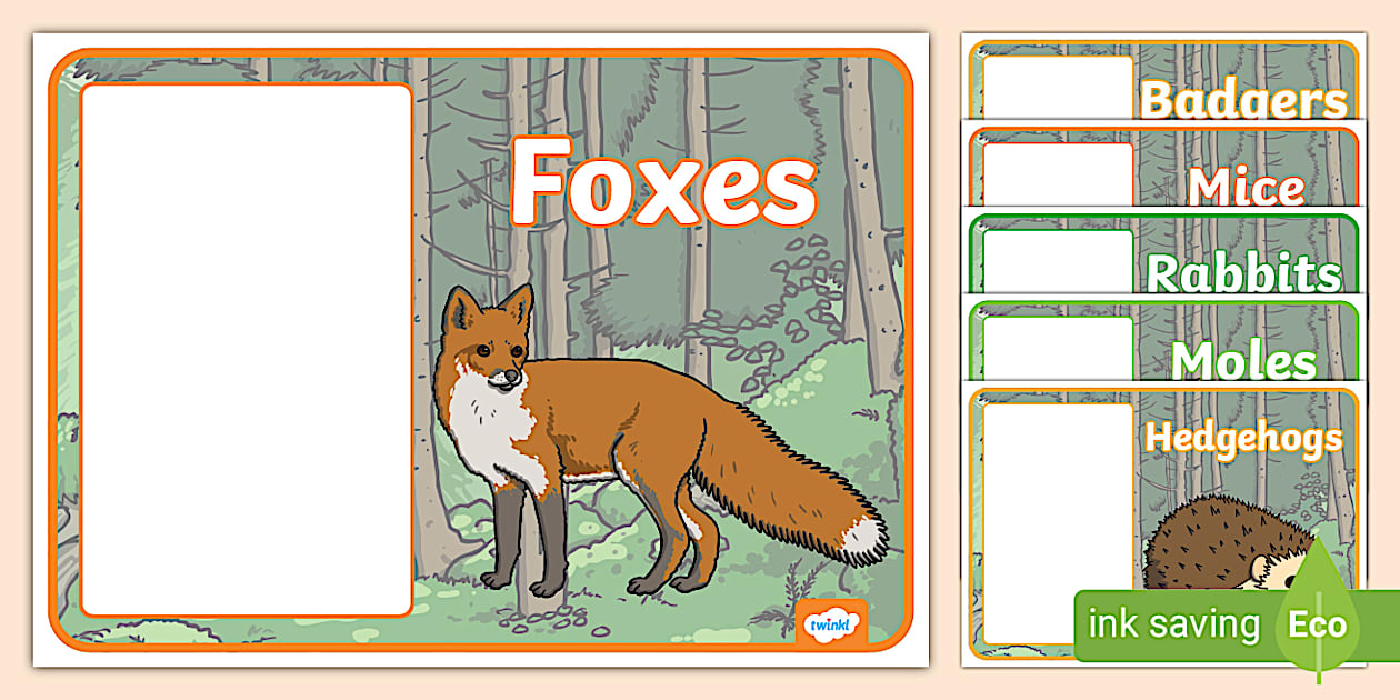 Editable Class Group Table Signs (Woodland Animals) - Twinkl