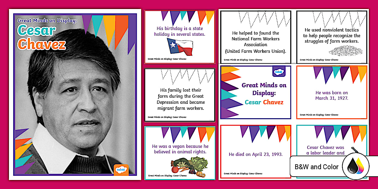 Cesar Chavez: Great Minds on Display Pack - Twinkl