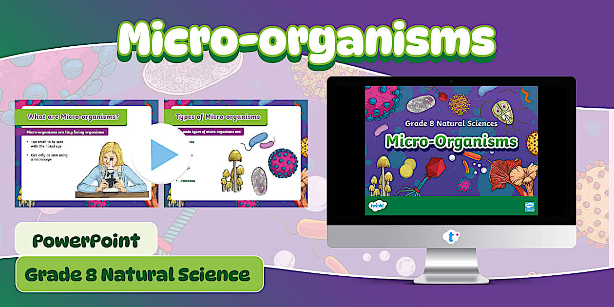 Grade 8 - NS - Micro-organisms - PowerPoint (CAPS Aligned)