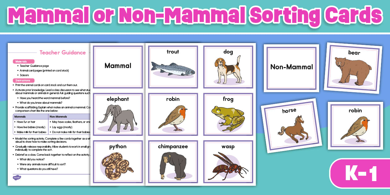 Mammal or Non-Mammal Sorting Cards for K-1st Grade