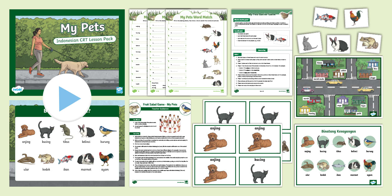 My Pets - Indonesian CRT Lesson Pack (teacher made) - Twinkl