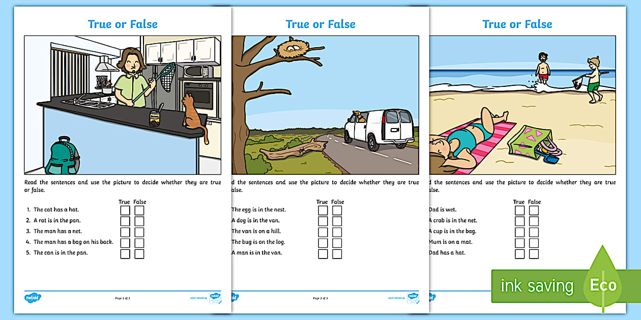 True or False Reading Worksheet (Teacher-Made) - Twinkl