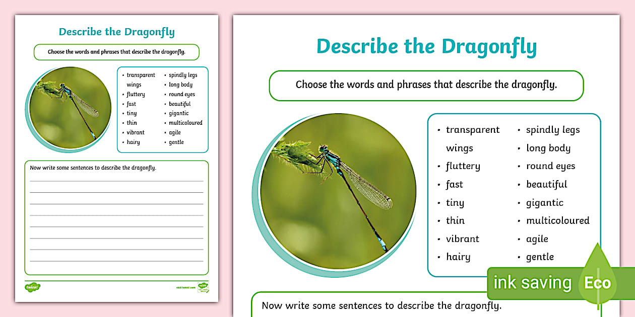 Describe the Dragonfly Writing Worksheet,Dragonfly - Twinkl