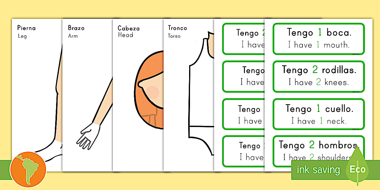 Our Body Parts Counting Activity English/Spanish | Twinkl
