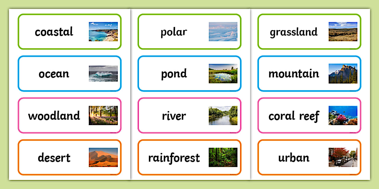 Habitats Word Cards - KS1 - Twinkl