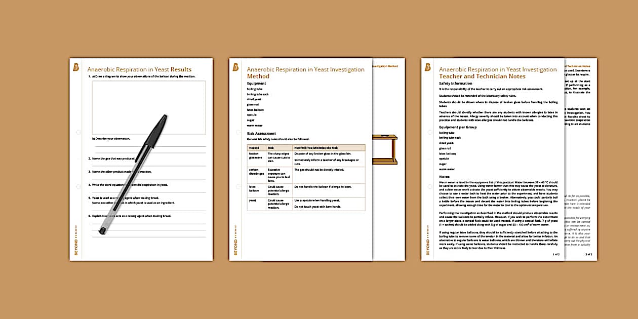 Anaerobic Respiration in Yeast Investigation | KS3 | Beyond