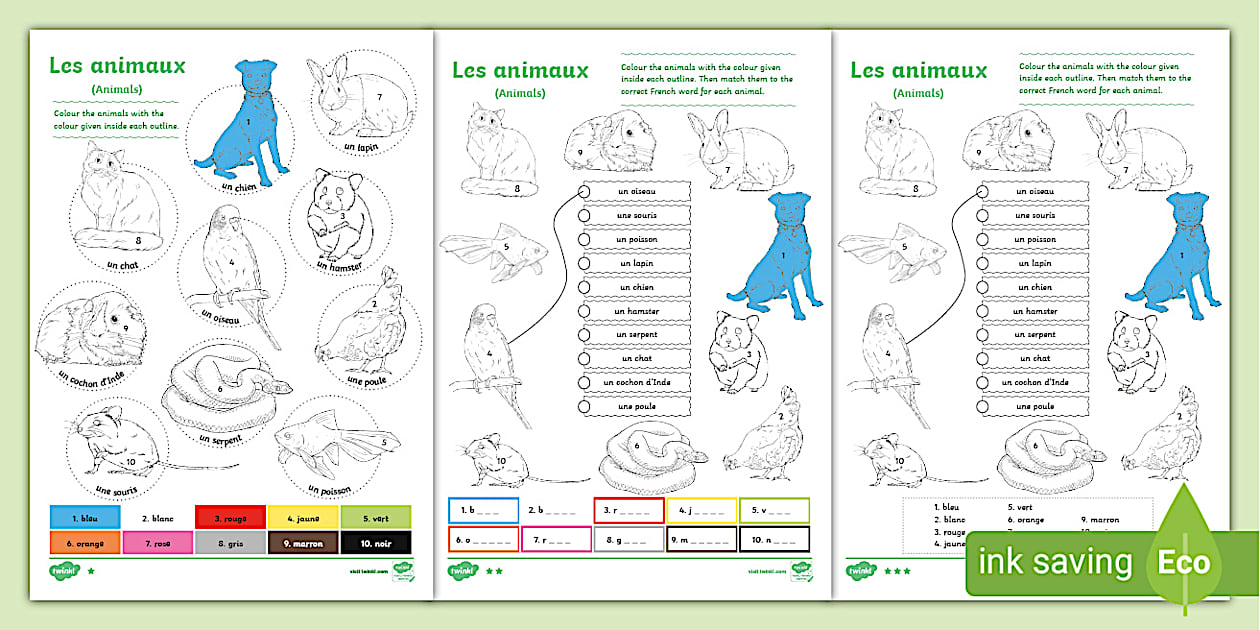 👉 French KS2 Colouring and Matching Activity Sheet: Pets