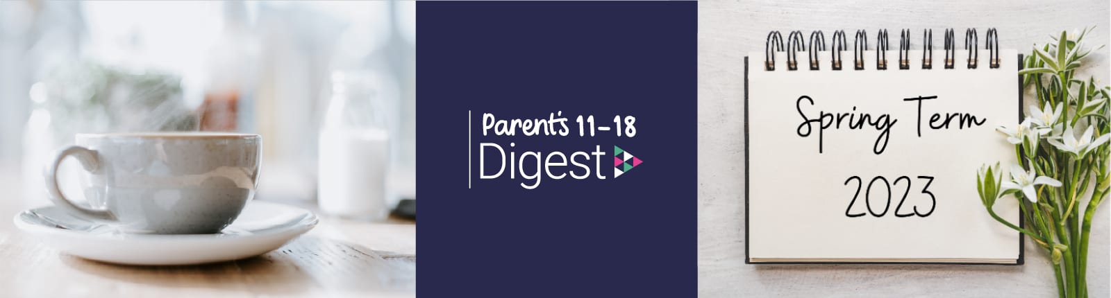 Parents 11-18 Digest Spring term 2023 review – News, advice and support you