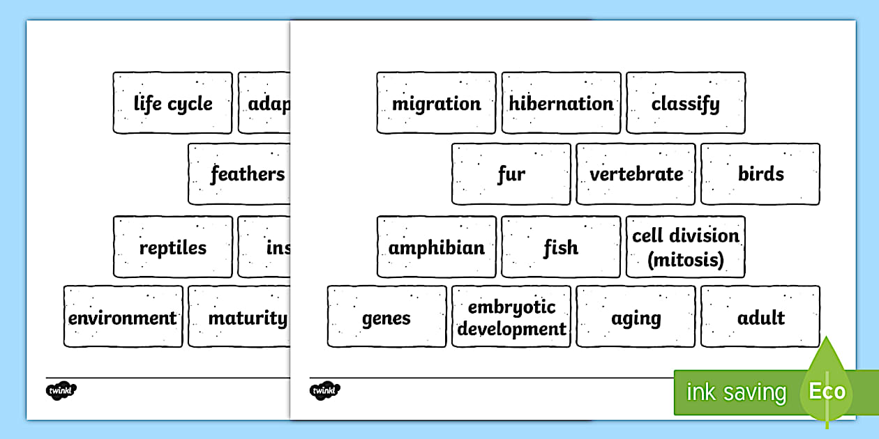 Growth and Changes in Animals Word Wall (teacher made)