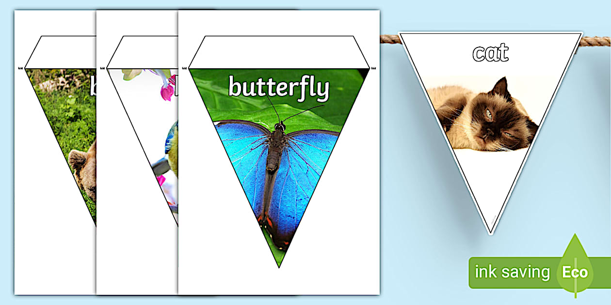 Animal Photo Display Bunting - KS1 - Wildlife - Animals