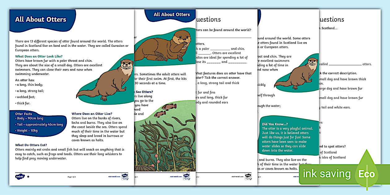 All About Otters Differentiated Reading Comprehension