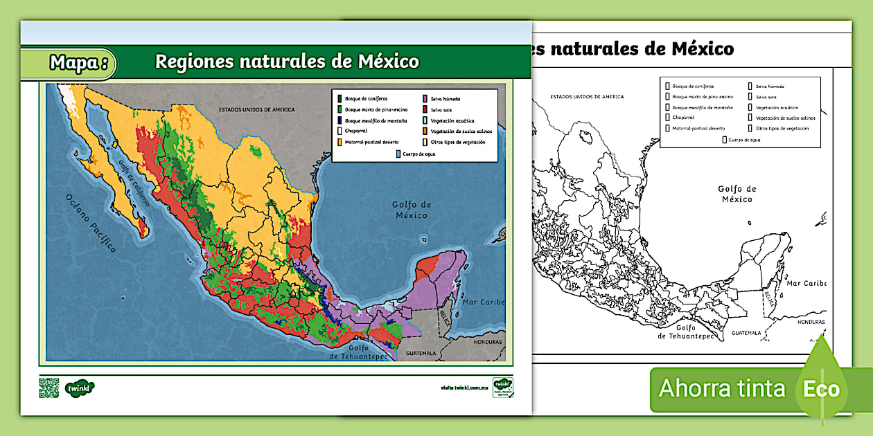 Mapa: Regiones naturales de México (Hecho por educadores)