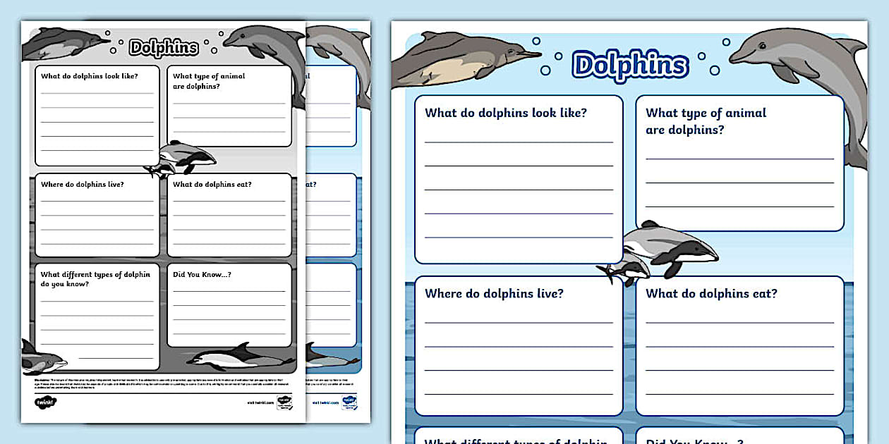 Dolphins Fact File Template,dolphins,dolphin (teacher made)