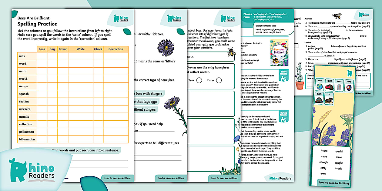 6c Bees Are Brilliant: Resource Pack (teacher made) - Twinkl