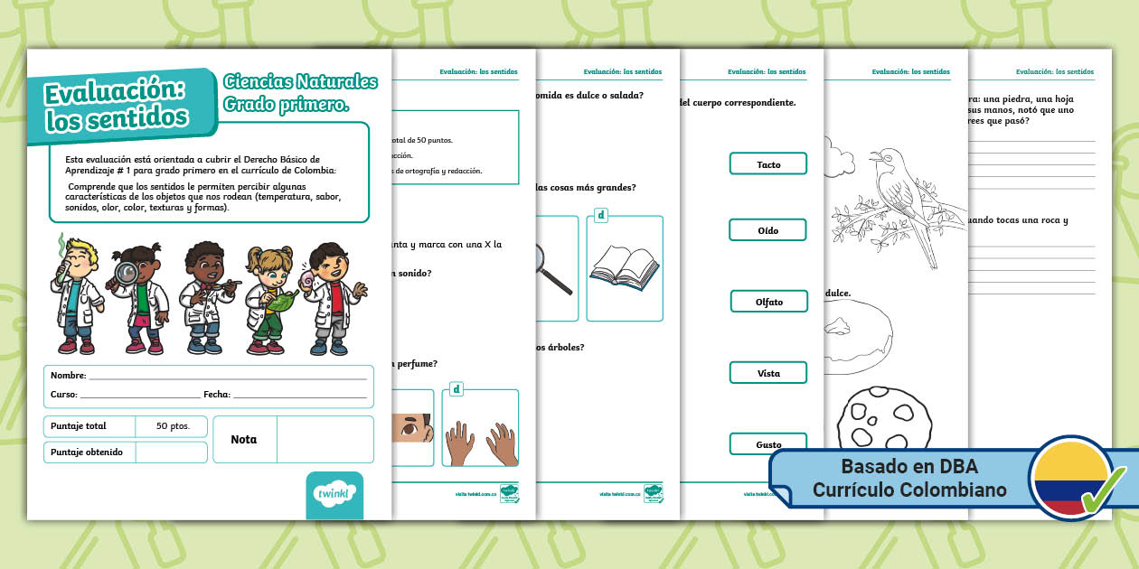 Guía de evaluación: los sentidos - Twinkl Colombia