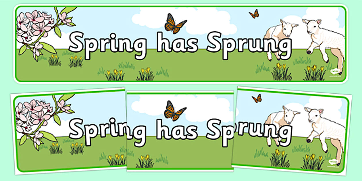 Springtime Has Sprung Display Banner (teacher made) - Twinkl