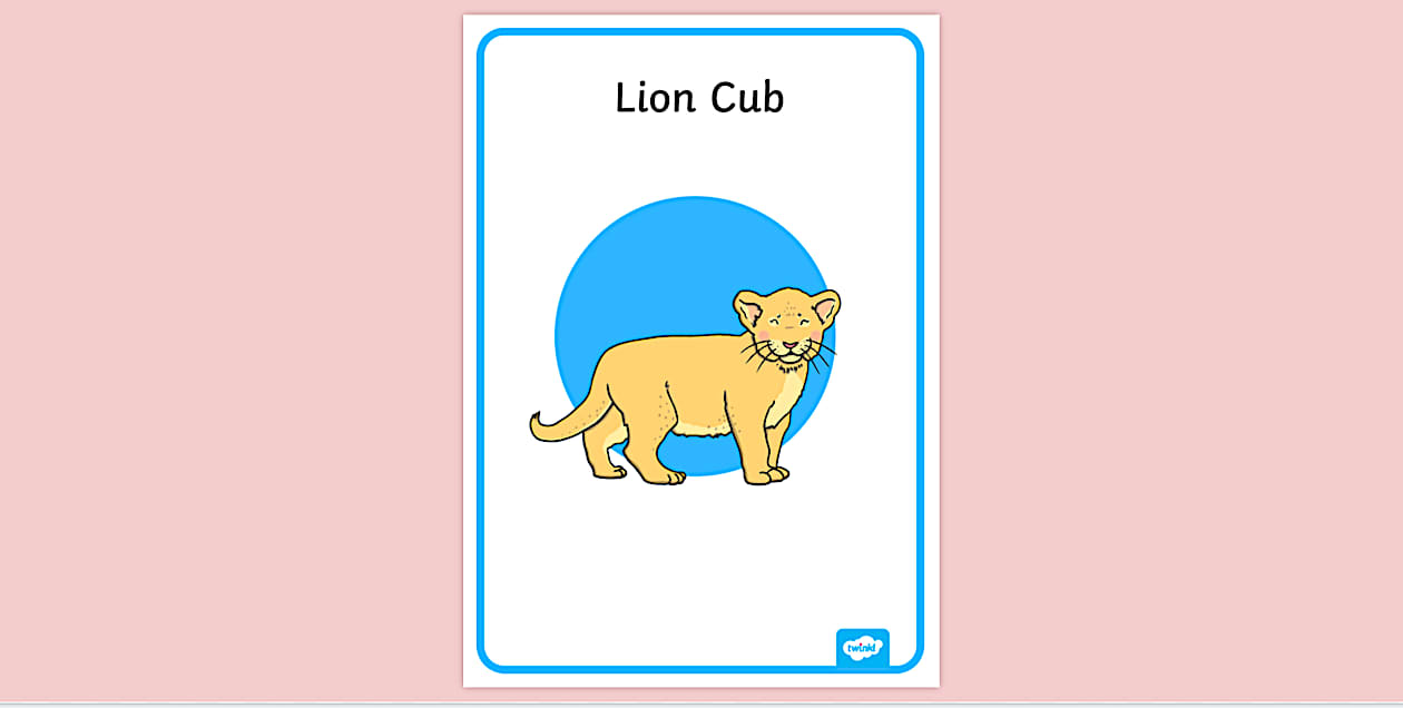 Lion Cub Poster | Display | Educational Resources | Twinkl