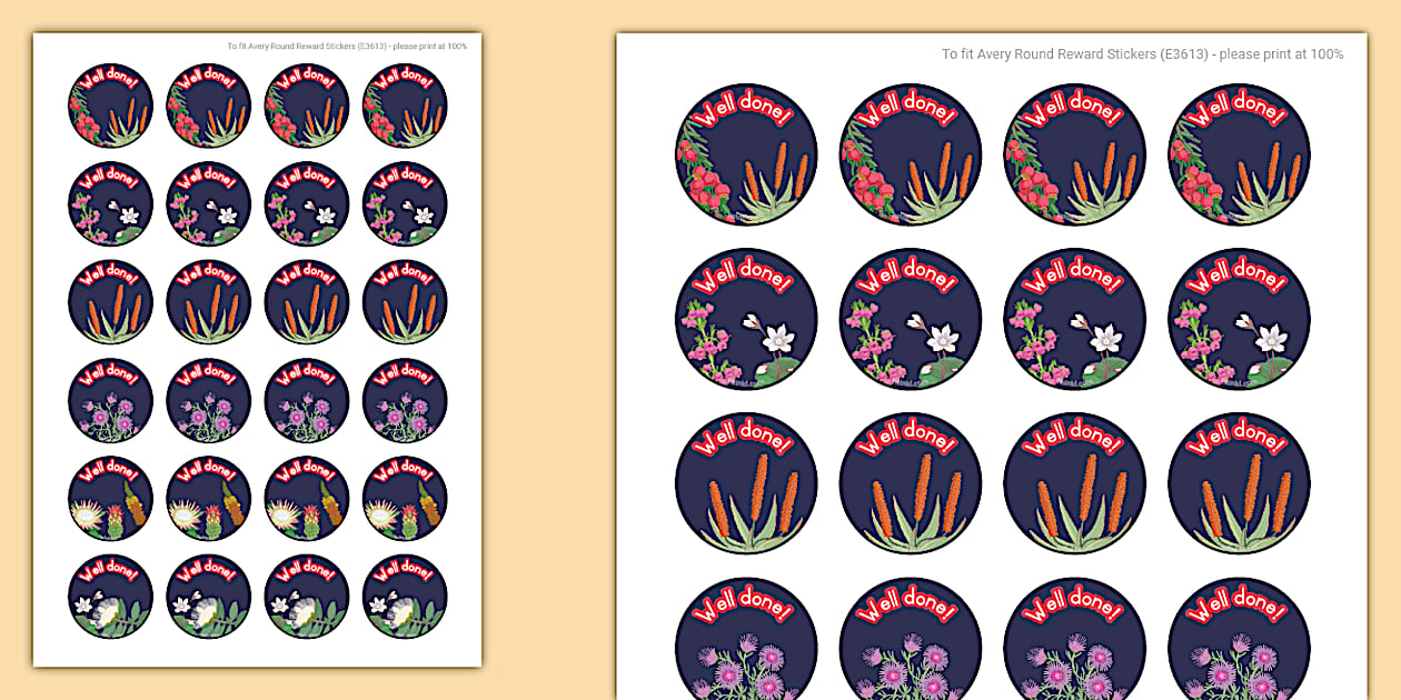 * NEW * Fynbos-Themed Well Done Stickers (Teacher-Made)