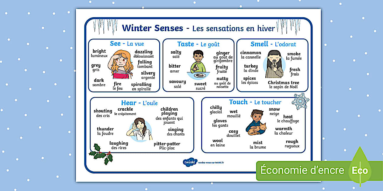 Winter Senses Word Mat English/French (teacher made)