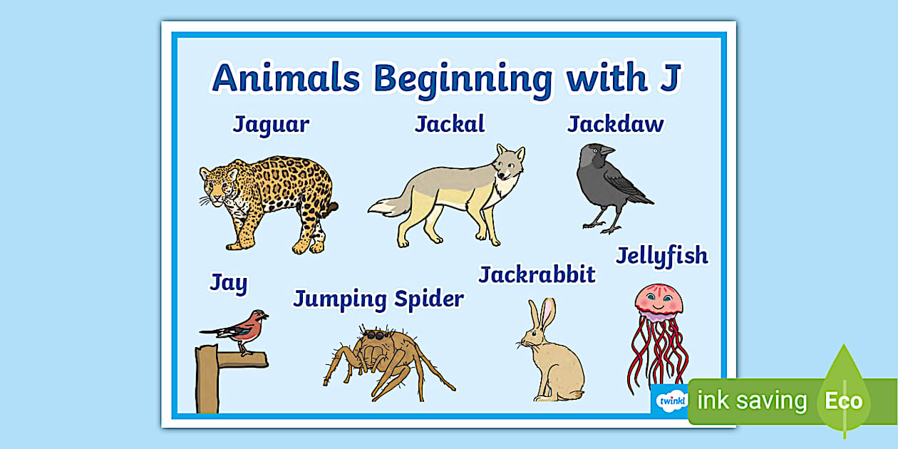 Animals Beginning with J Word Mat (Teacher-Made) - Twinkl