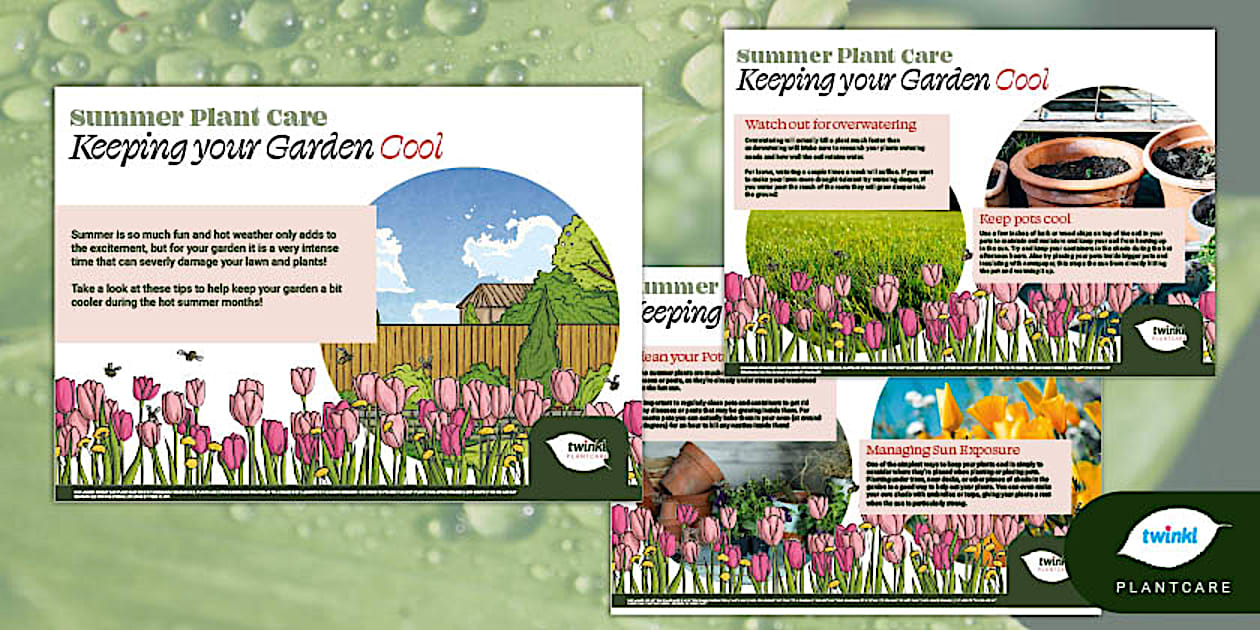 Summer Plantcare: Keeping Your Garden Cool
