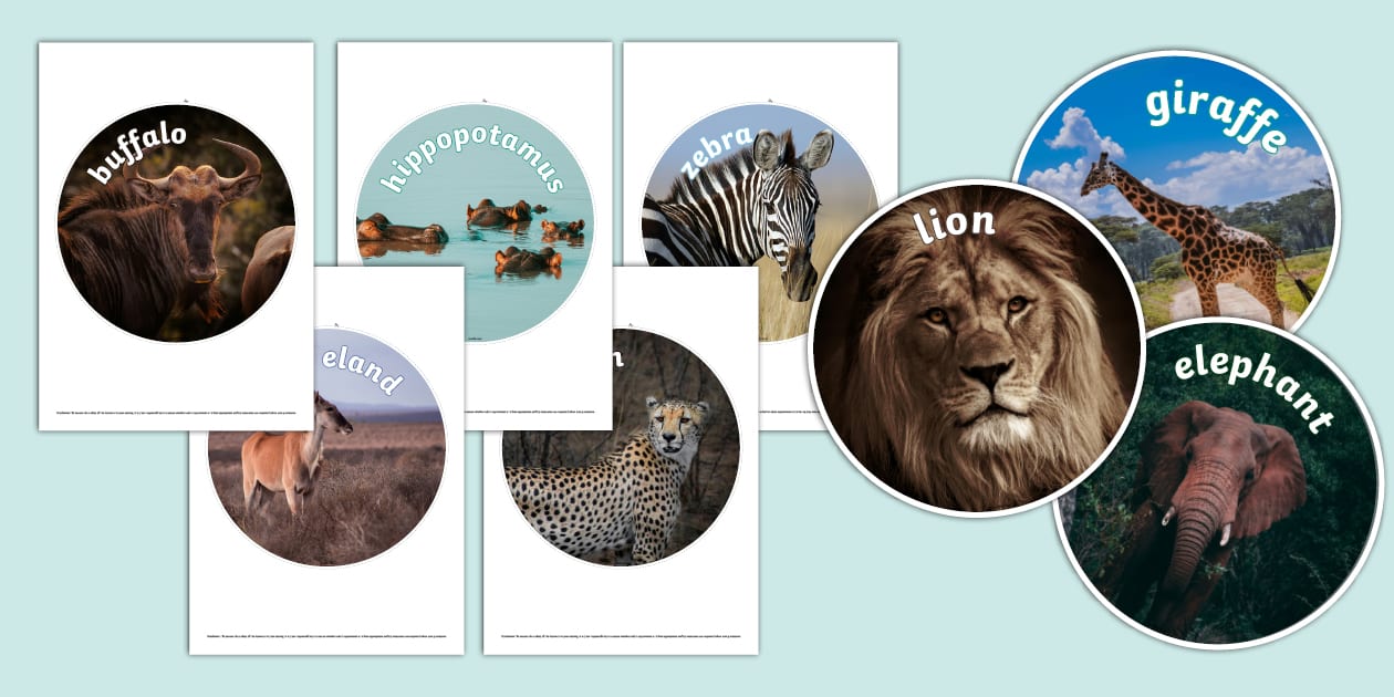 Safari Animals Circle Display Photo Cut-Outs (teacher made)