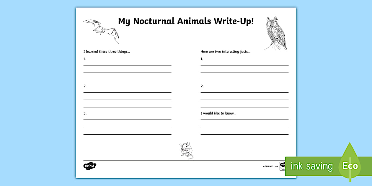 Nocturnal Animals Write-Up Worksheet (Teacher-Made) - Twinkl