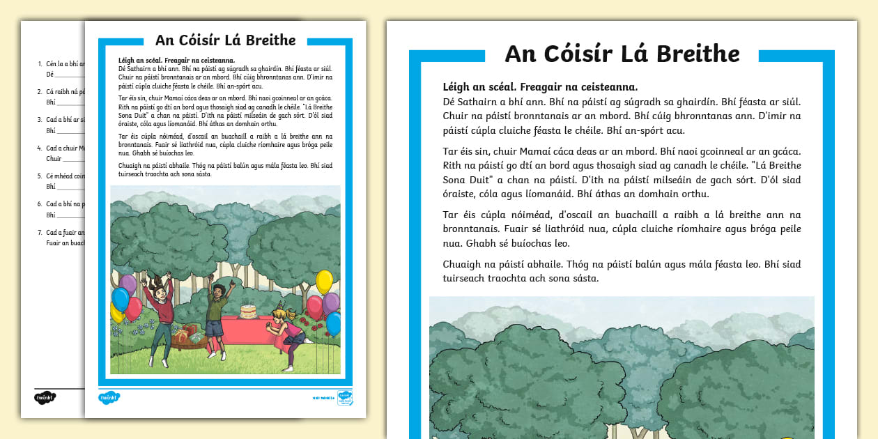 The Birthday Party Reading Comprehension | Gaeilge Resources