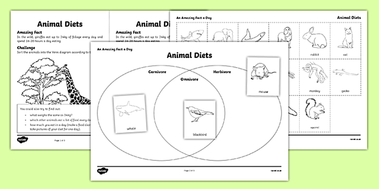 Eating Habits of Animals for Class Worksheets - Twinkl