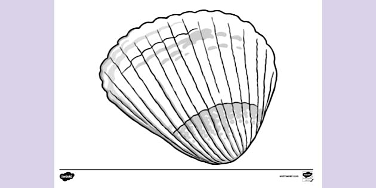 Common Cockle Colouring Sheet | Colouring Sheets