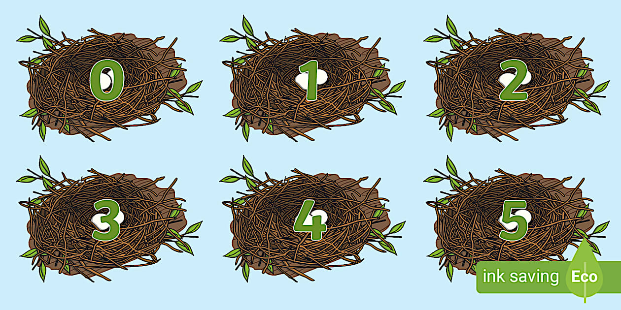 👉 Numbers 0-20 on Birds Nests (teacher made) - Twinkl