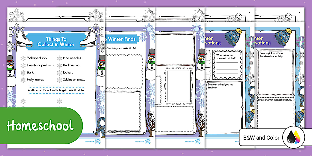 Winter Collections and Observations Worksheet
