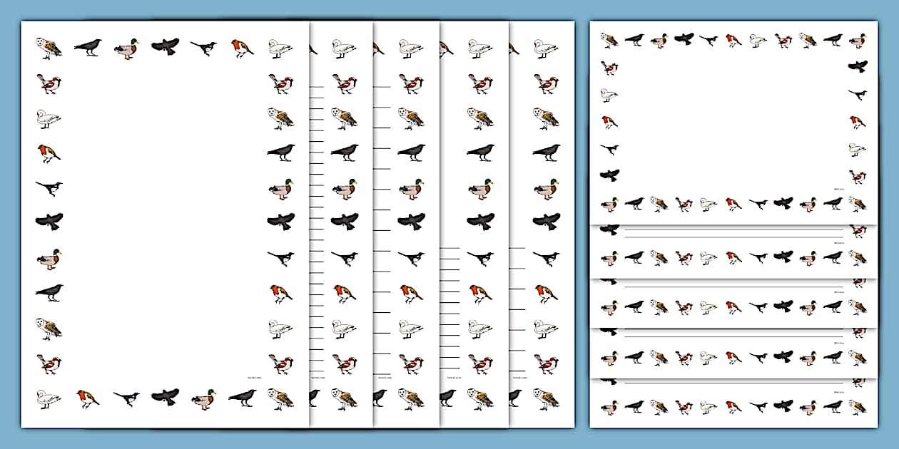 British Birds Page Border (teacher made) - Twinkl