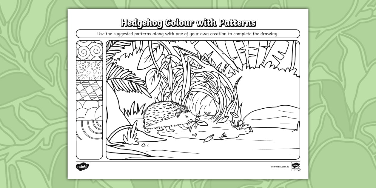 Hedgehog Colour with Patterns Activity (teacher made)