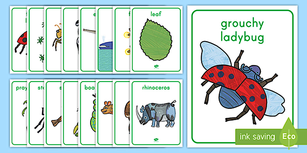 The Grouchy Ladybug Posters (teacher made) - Twinkl