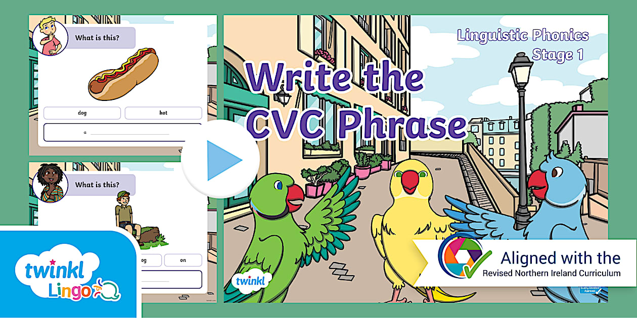 Linguistic Phonics Stage 1 CVC PowerPoint | Write the Phrase