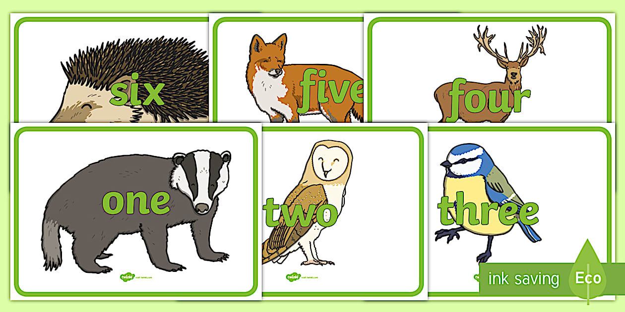 Editable Numbers to 20 on Woodland Animals Display Poster