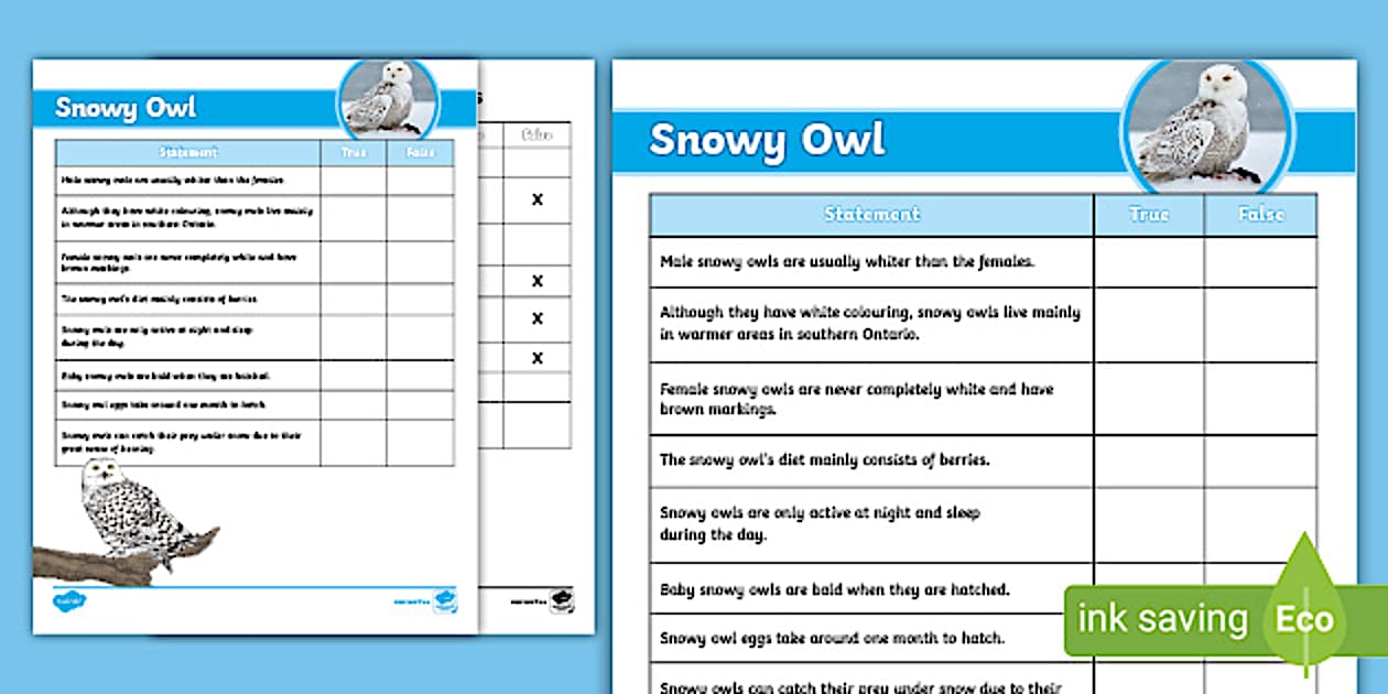 Snowy Owl True or False Activity - Grades 4-6 - Twinkl