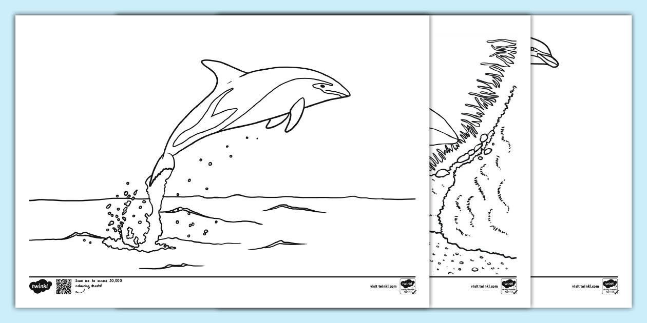 Dolphin Colouring Pages - Twinkl Colouring (teacher made)