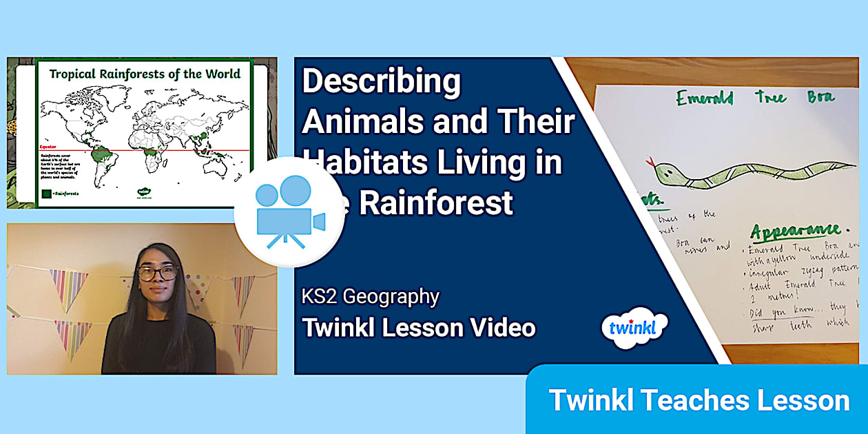 KS2 Geography: Animals and their Habitats Video Lesson